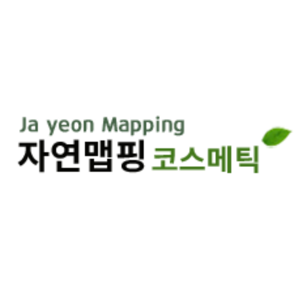 JA YEON MAPPING